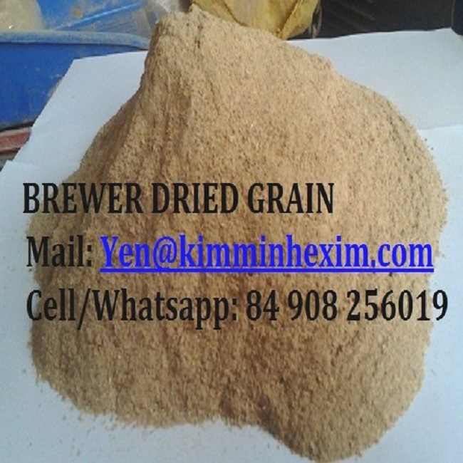 DRIED BREWER GRAIN - DRIED BEER BREWER for ANIMAL FEED| Alibaba.com