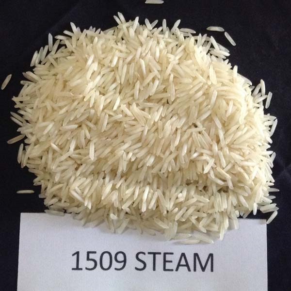 Premium Quality price 25kg rice india for Global Business Buyers