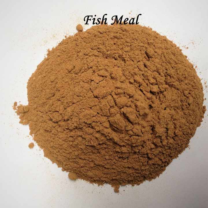 PURE SEA FISH MEAL - CAT FISH MEAL - ANIMAL FEED FROM VIETNAM