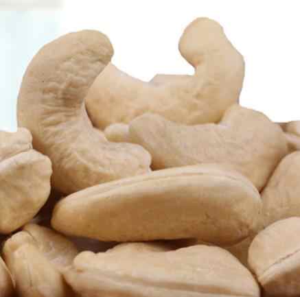 WW320 Vietnam Noix De Cajou KAJU Cajueiro Jambu Fruits