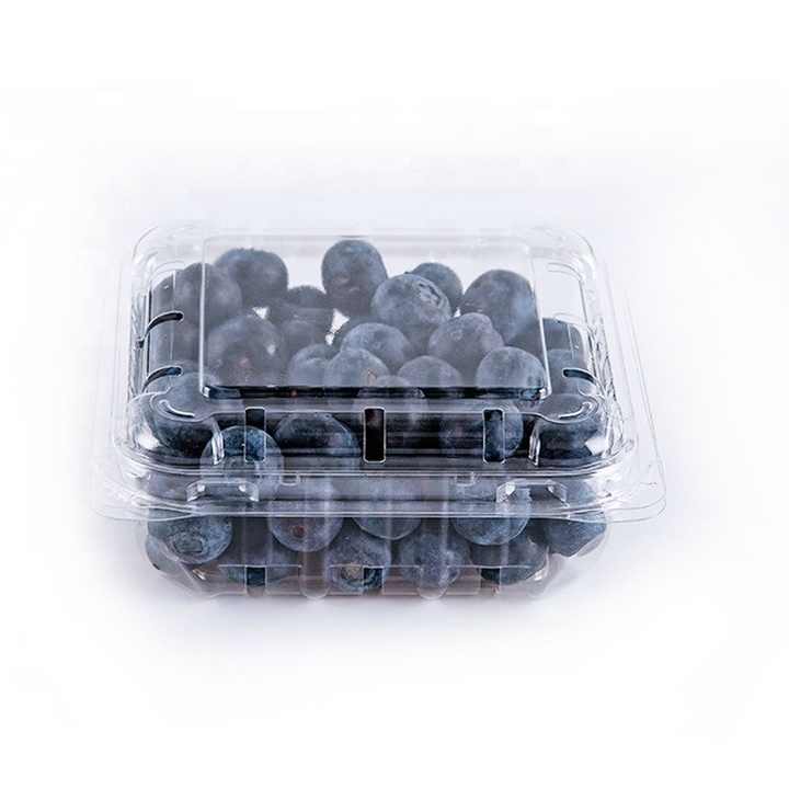 125G Disposable Plastic Clamshell for Blueberry Packaging