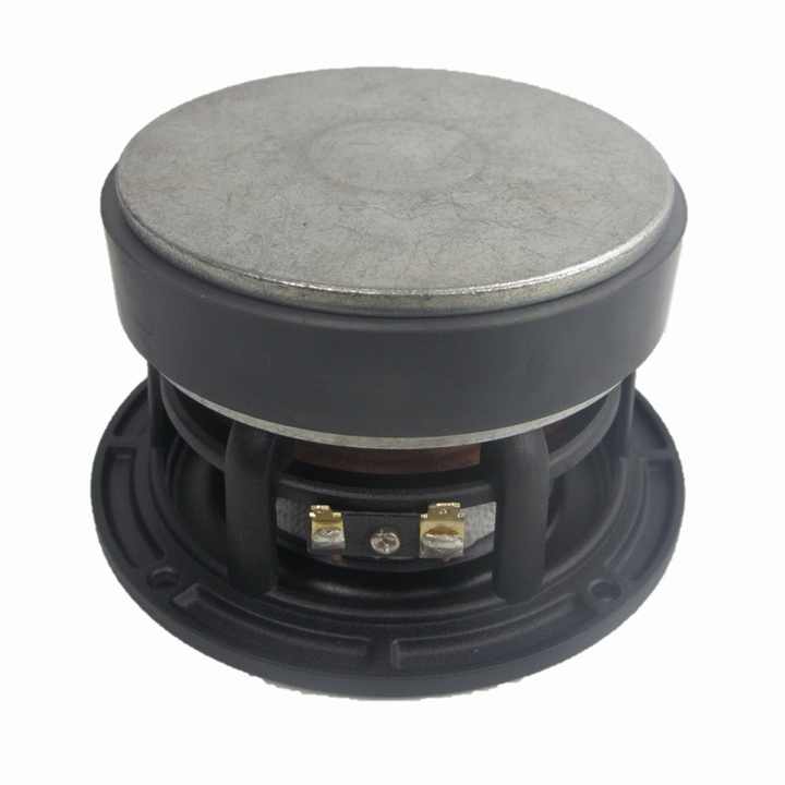 Ilouder 4.5 Inch Subwoofer - Enhance Home Audio Quality