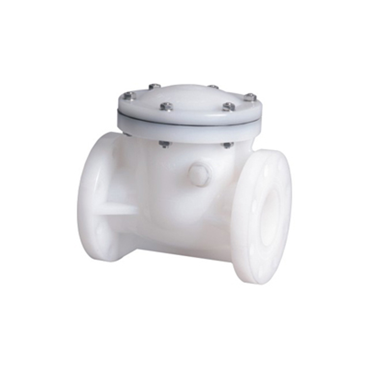 6 Inch PVC Check Valve - High Quality Water Flow Control