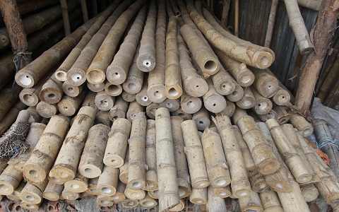 Bamboo Craft Bamboo Tree/bamboo Tree Stake - Gia Gia Nguyen CO.,LTD