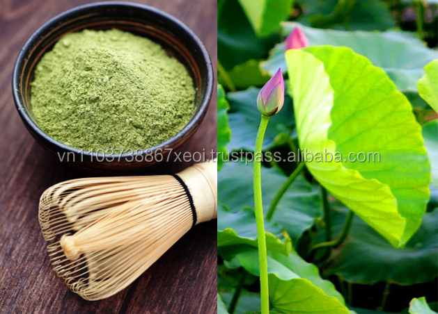 How to Choose the Best Southern Lotus Product: A Complete Buying Guide