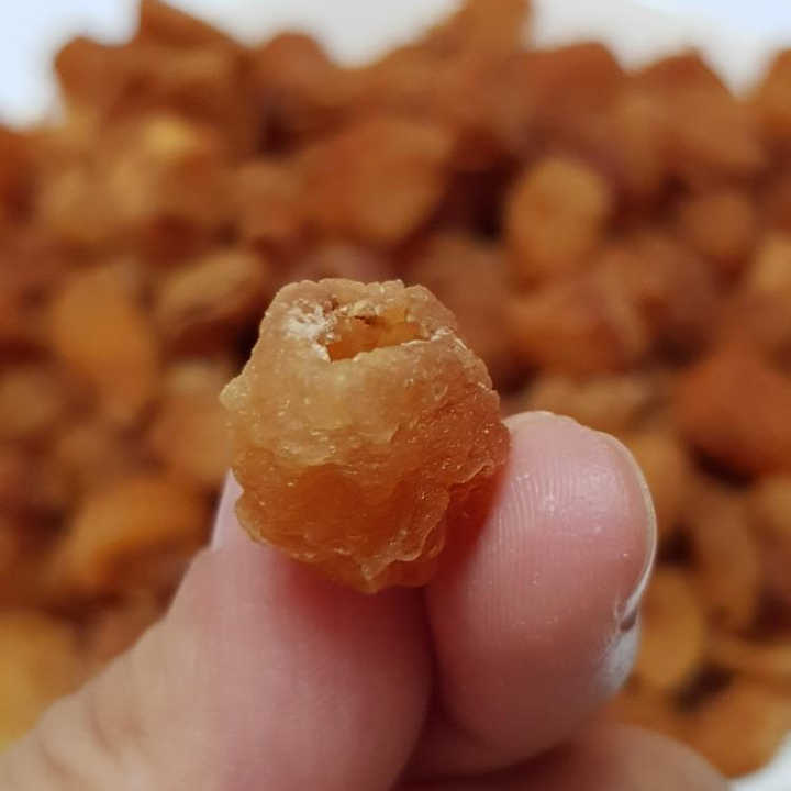 Dried Longan Chiang Mai Thailand - Sweet & Preserved Fruit