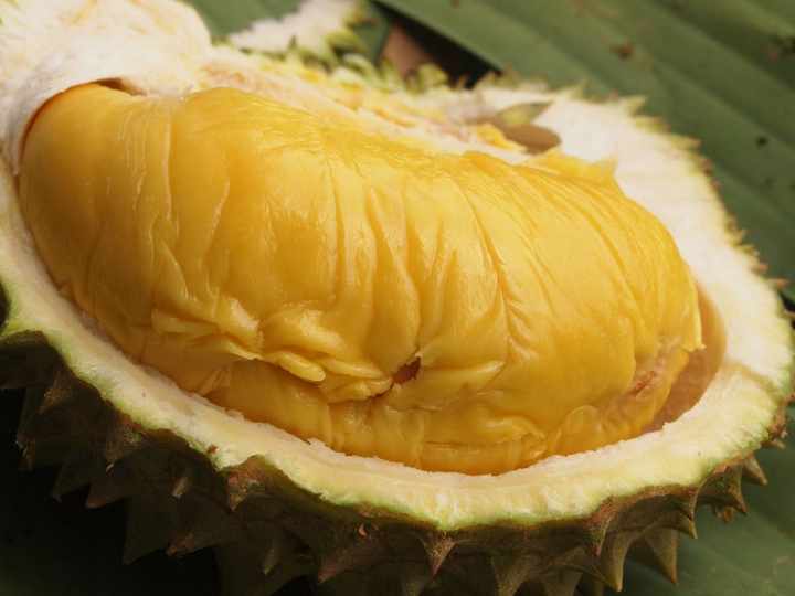 R16 Durian - Frozen Monthong Natural VIET NAM DURIAN 18 Kg