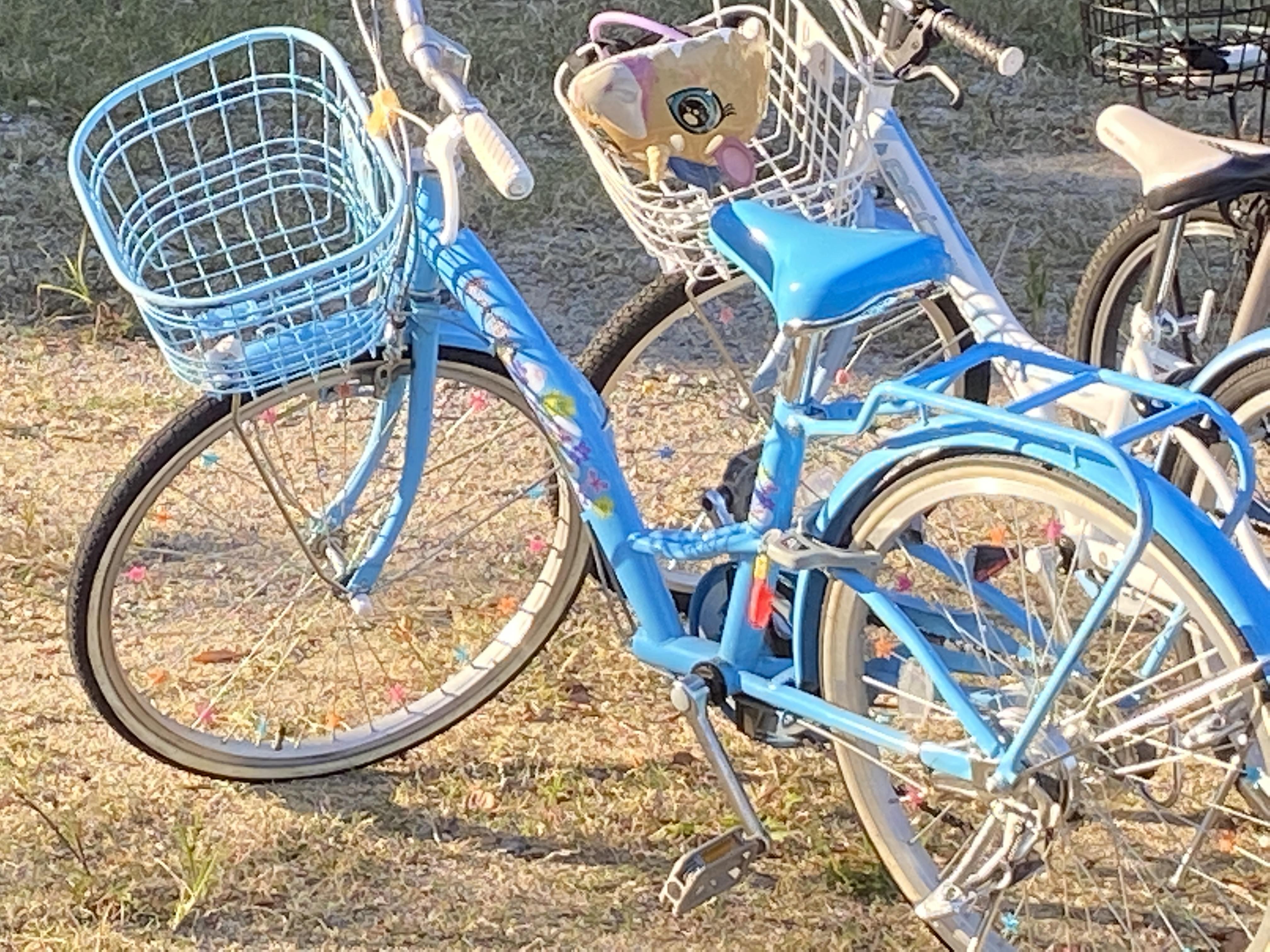 How to Choose the Best Fuji Bike for Your Riding Needs