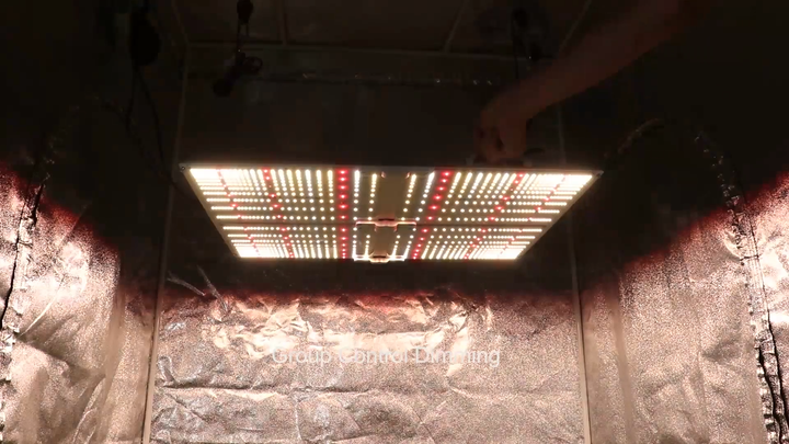 Samsung LM 301H LED Grow Lights - Efficient Indoor Gardening