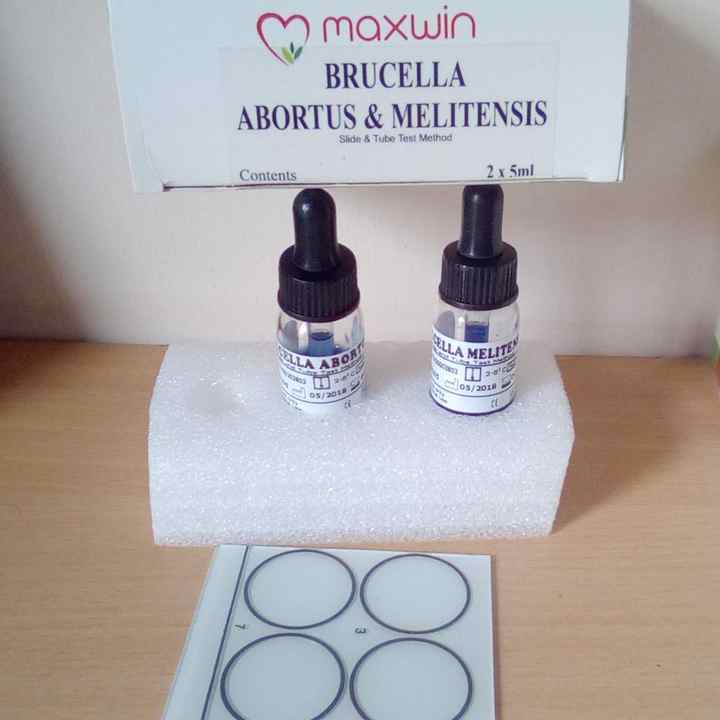 Brucella Abortus/melitensis Antibodies Antigen Test Kits