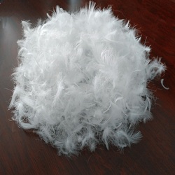 PHUONG NAM FEATHER CO., LTD - down and feather, Down Jacket