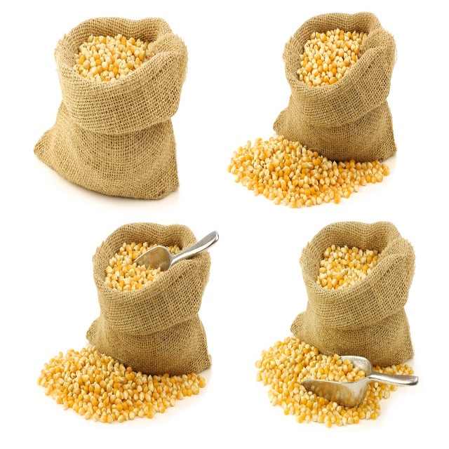 Top Selling Non GMO Yellow Maize Corn/ Yellow Corn & White Corn/Air ...