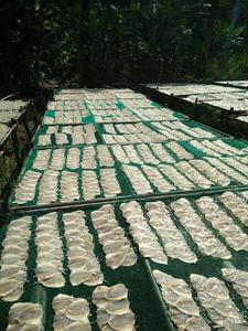 Best Dried Yellow Fish - High Quality from Vietnam