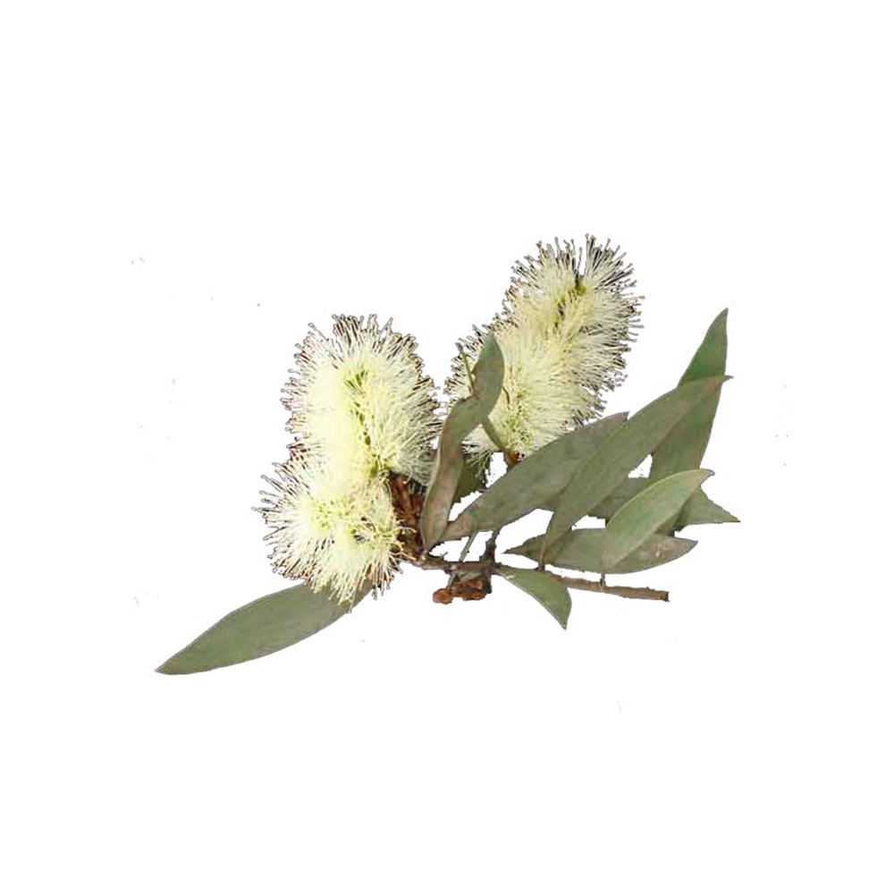 How to Choose Certified Oil Suppliers: A Complete Buyer's Guide