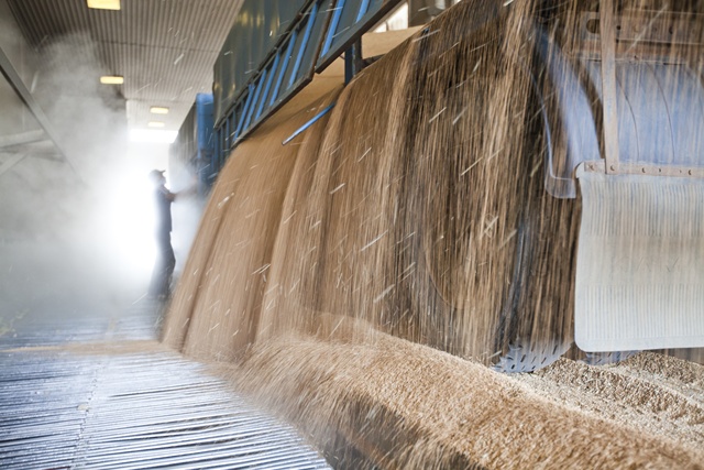 Buy Alfalfa Hay Online | Premium Animal Feed for Cattle, Horses & Goats