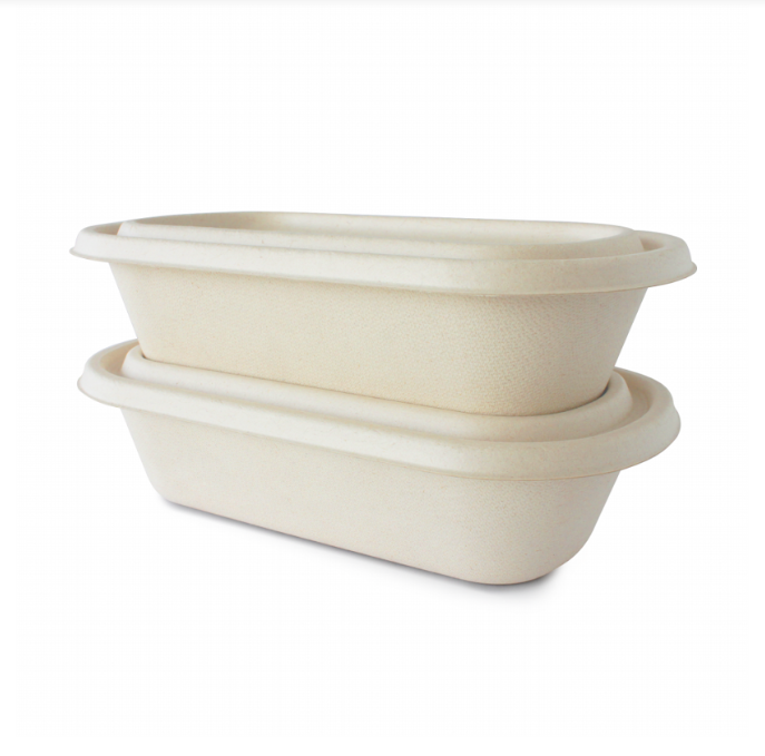 How to Choose Sugar cane packaging: A Complete Buyer's Guide